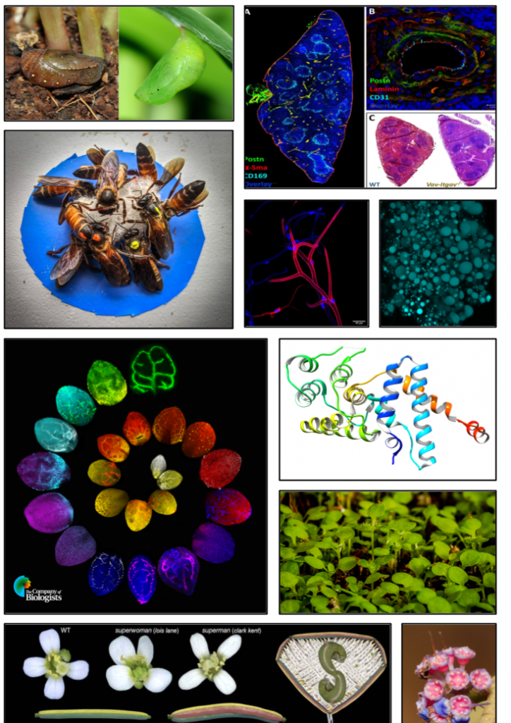 IISER TVM Frontiers Symposium in Biology (FS-BIO 2026) – 13-15 February ...